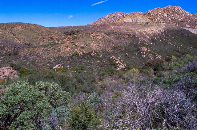 Alpine View Point - Field research: impact of frequent fire on ...
