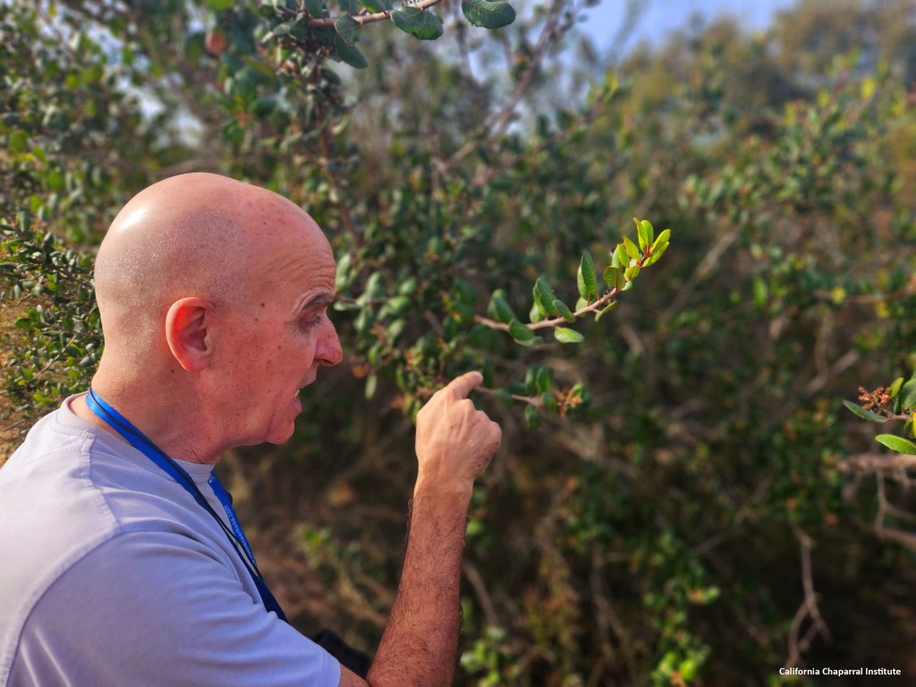 Chaparral Wisdom – To celebrate the magic and beauty of Nature & the ...